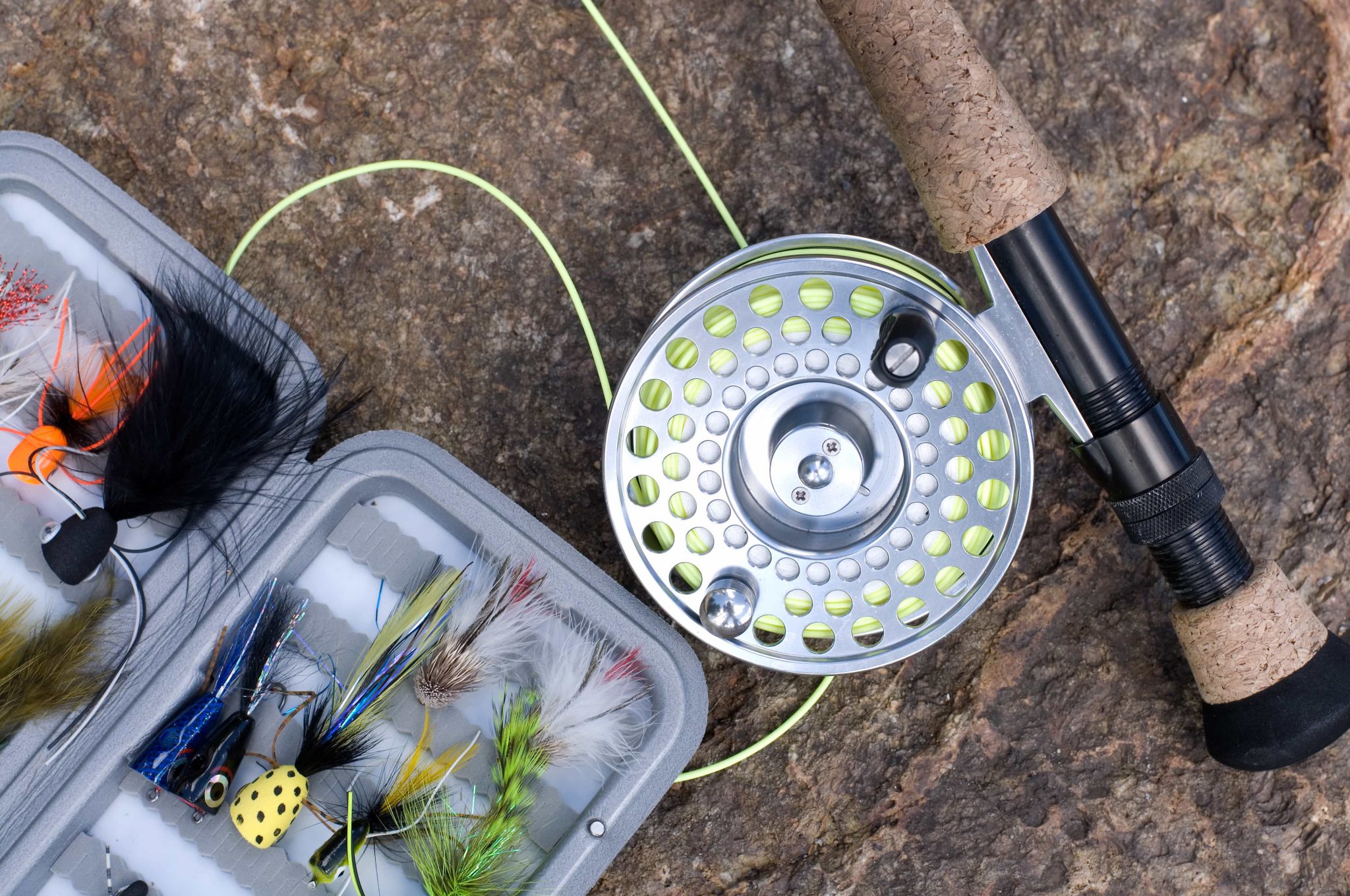 Best Fly Fishing Rods 2025: Top 10 Reviews (Buying Guide)