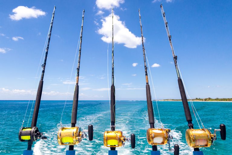 7 Best Conventional Reels for Bottom Fishing in 2026