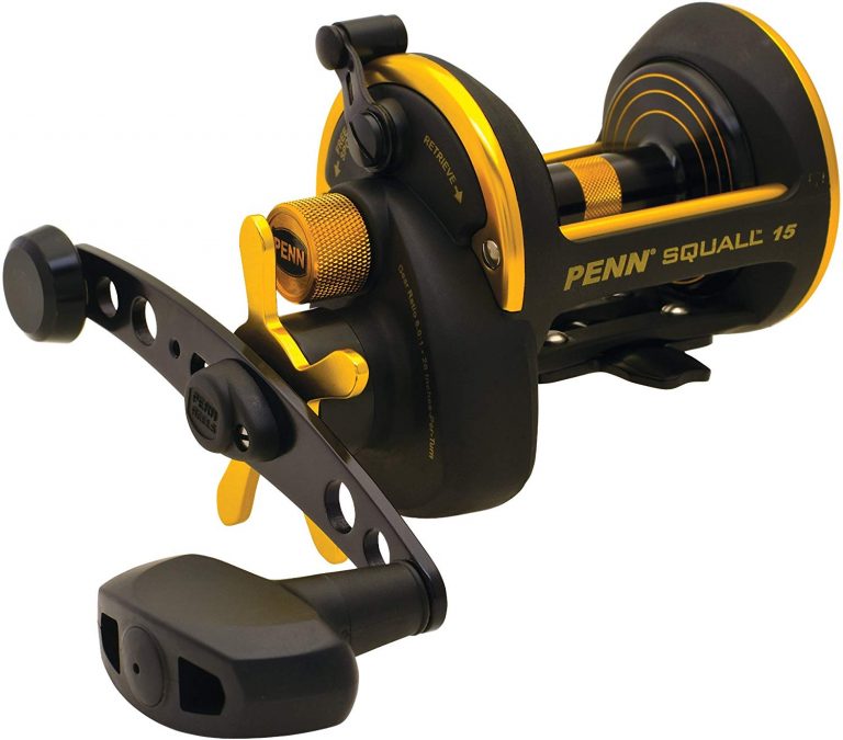 7 Best Conventional Reels for Bottom Fishing in 2026