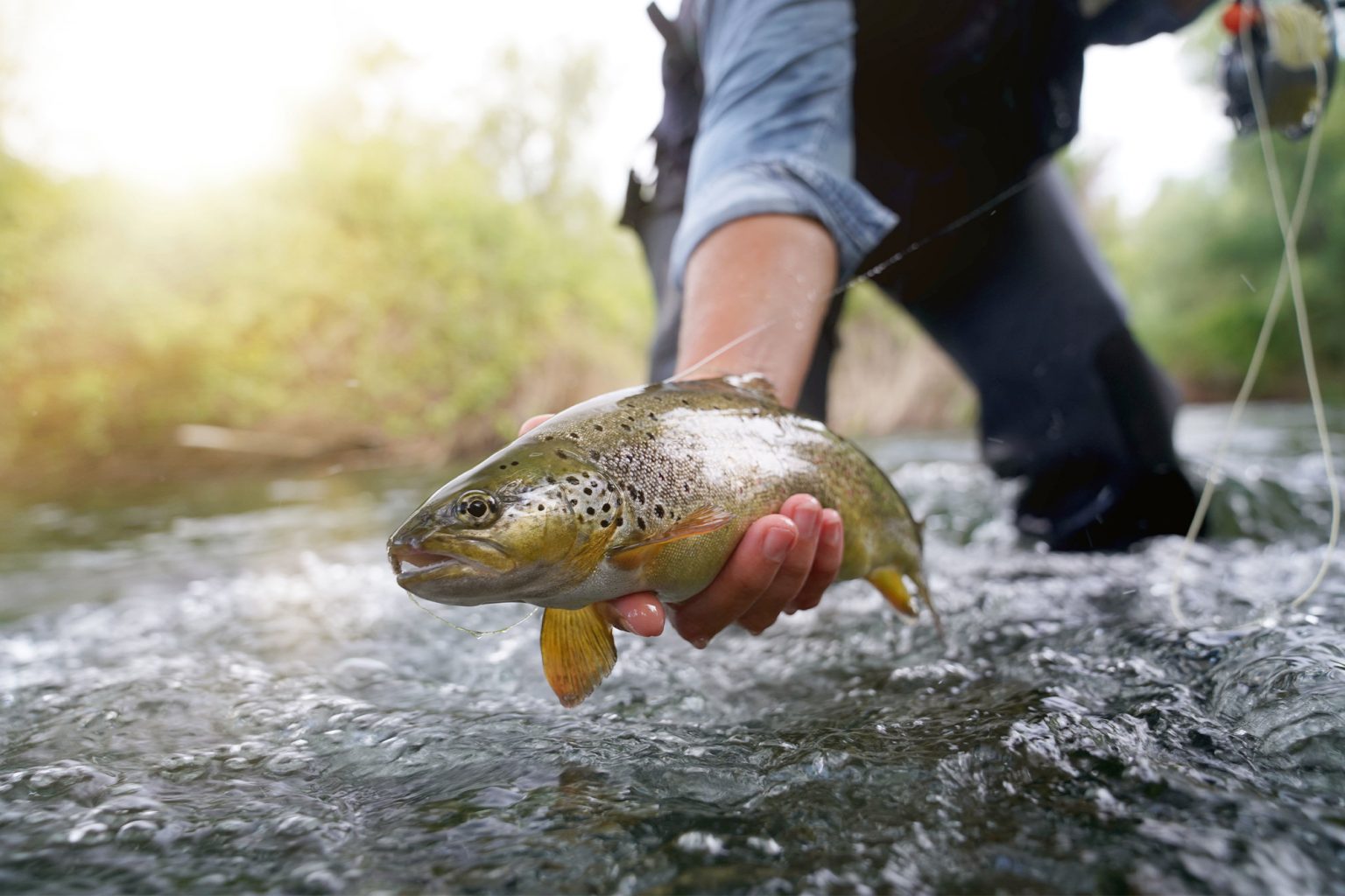 Top 6 Reasons Why You're Not Catching Fish - Fishing Refined