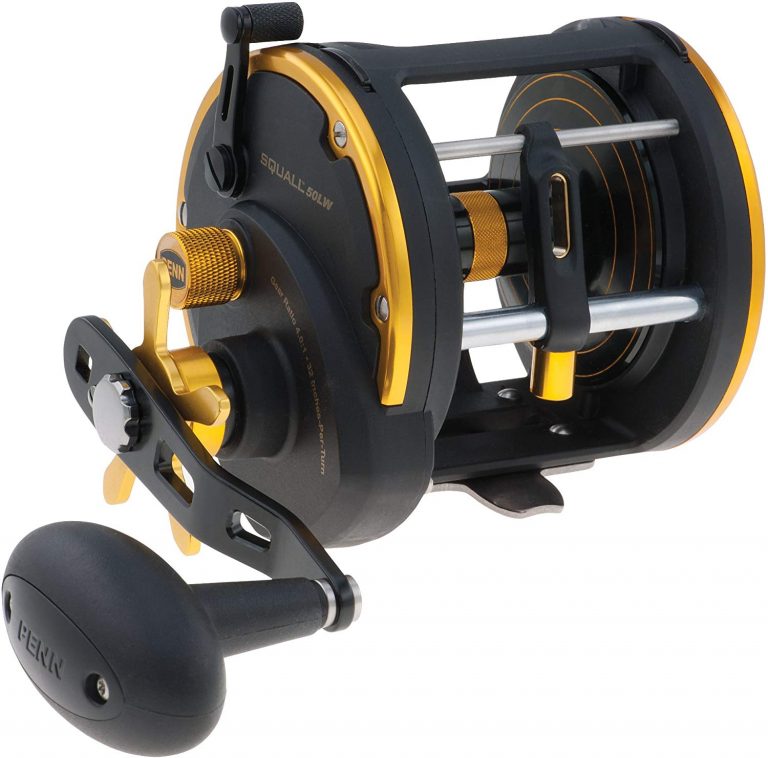 7 Best Conventional Reels for Bottom Fishing in 2022