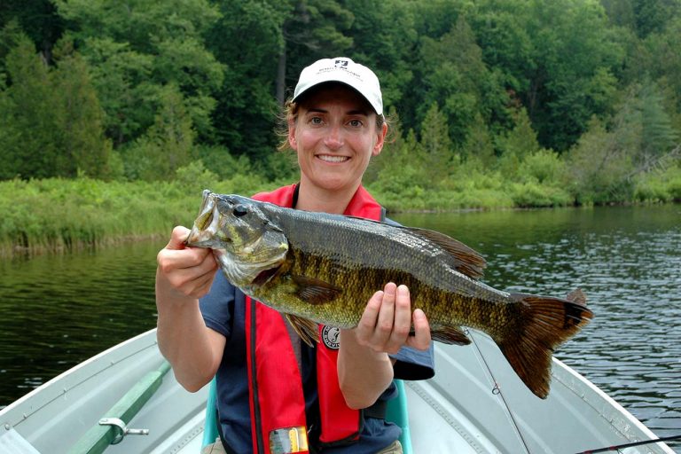 Do Bass Have Teeth? How To Hold & Handle Bass Safely