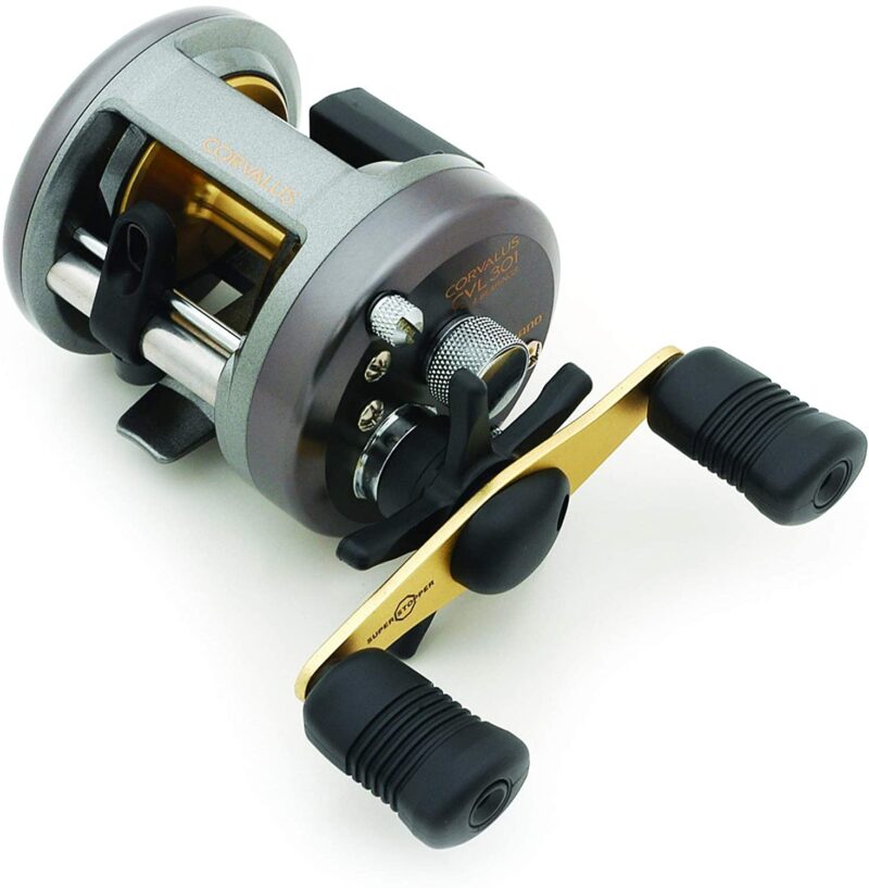 10 Best Saltwater Baitcasting Reels (2025 Review Guide)