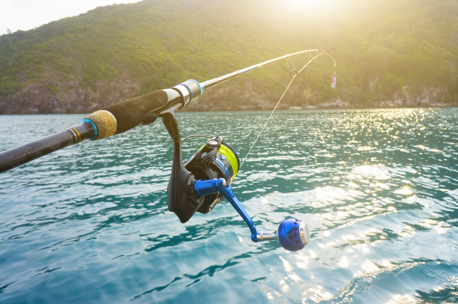 10 Best Saltwater Spinning Reels (2025 Review Buying Guide)