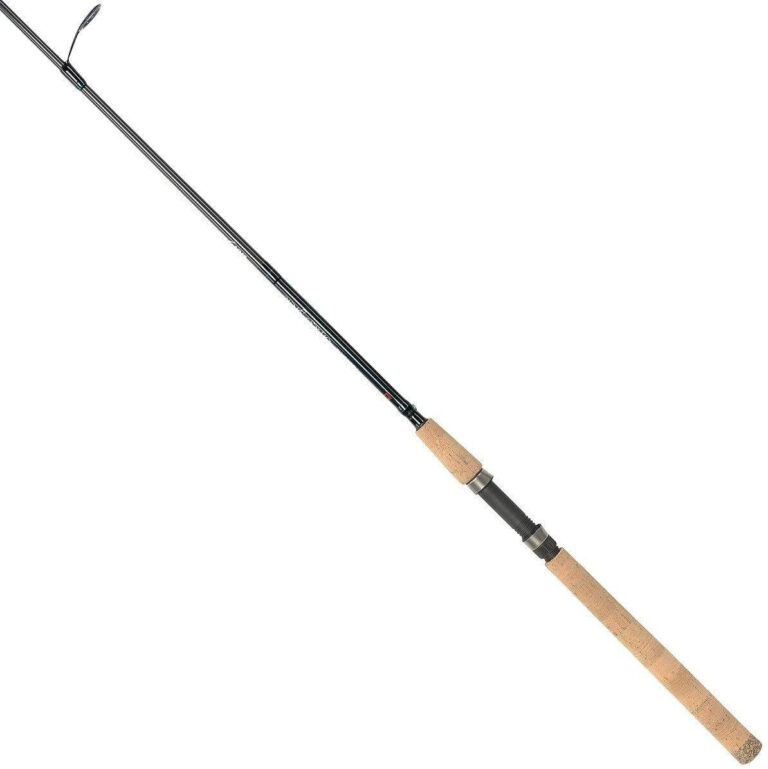Top 10 Best Inshore Spinning Rods for 2025 (Ultimate Guide)