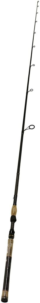 Top 10 Best Inshore Spinning Rods for 2022 (Ultimate Guide)