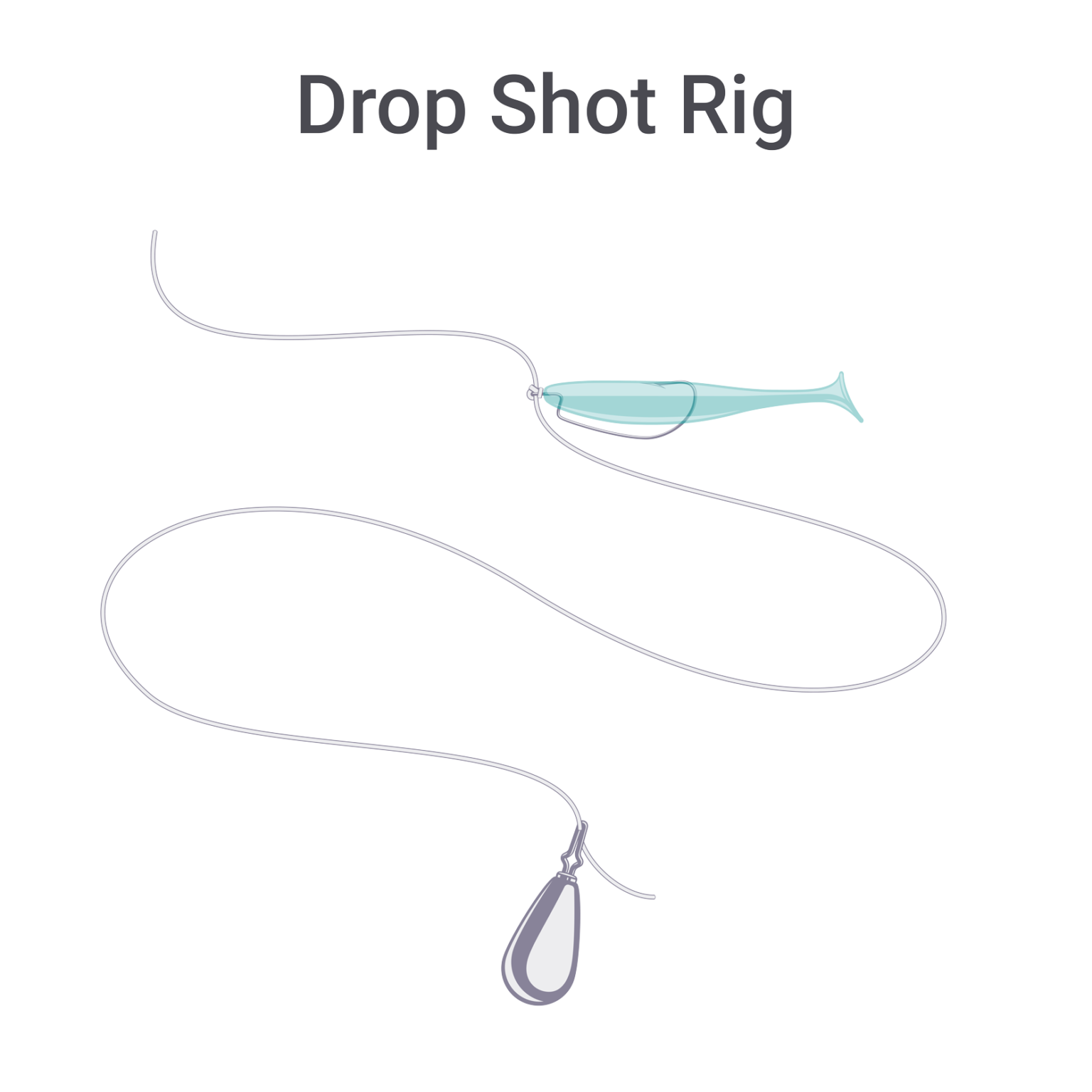 Drop Shot Rigs 101: Ultimate Guide For Beginners