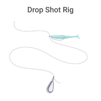 Drop Shot Rigs 101: Ultimate Guide For Beginners