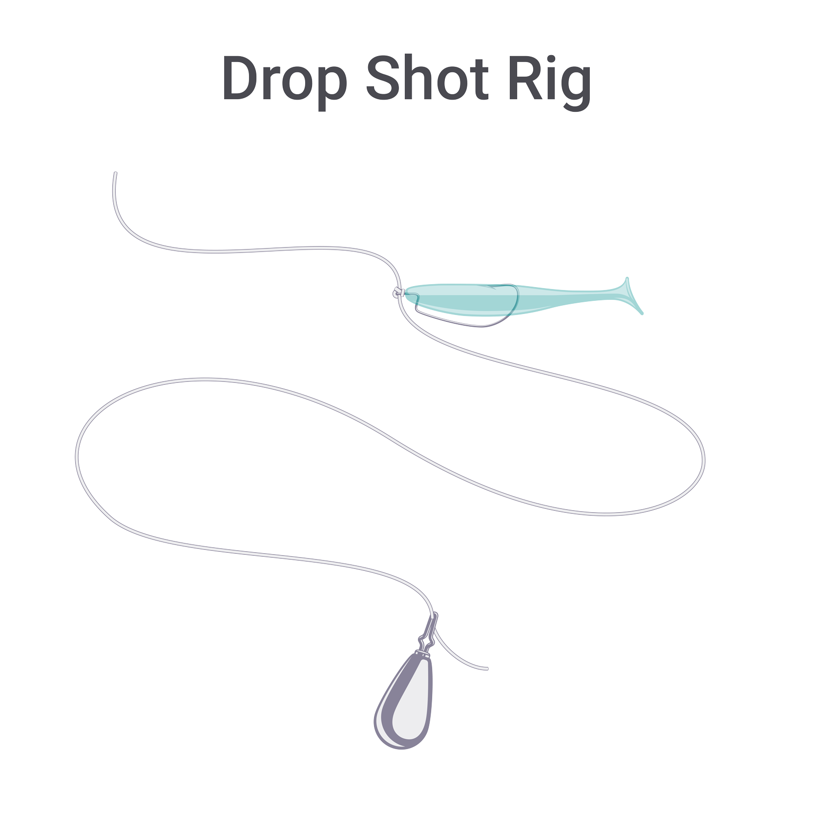 Drop Shot Rigs 101: Ultimate Guide For Beginners