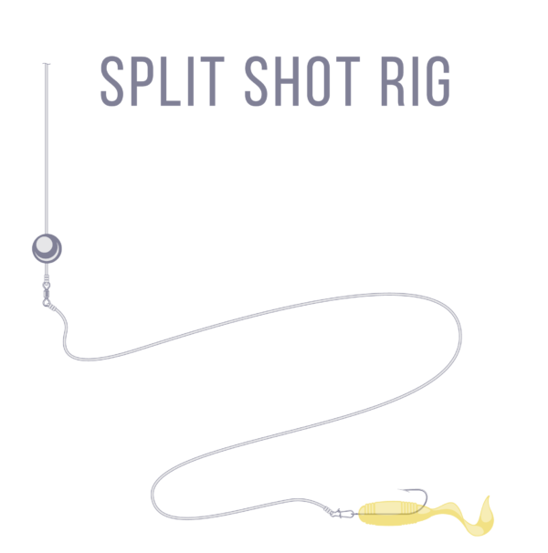 8 Game-Changing Crappie Fishing Rigs To Pros Use