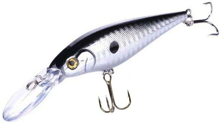 Walleye Fishing 101: How To Catch Walleye for Beginners