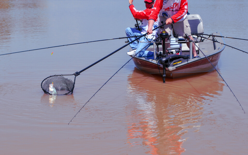 Crappie Fishing 101: How To Catch Crappie Like A Boss