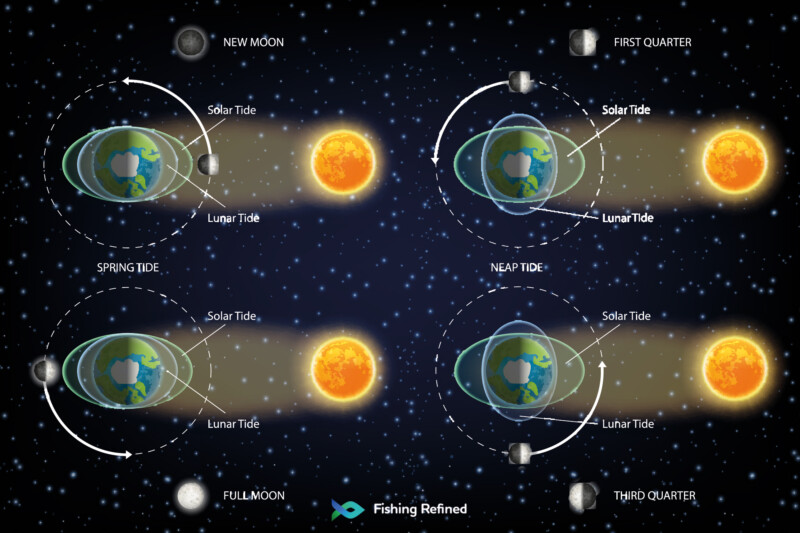 How Moon Phases & Ocean Tides Affect Fishing Success