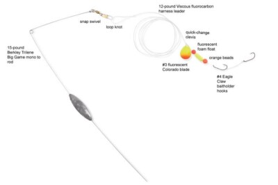 Walleye Rigs Like A Pro: 7 Sure-Catch Walleye Setups